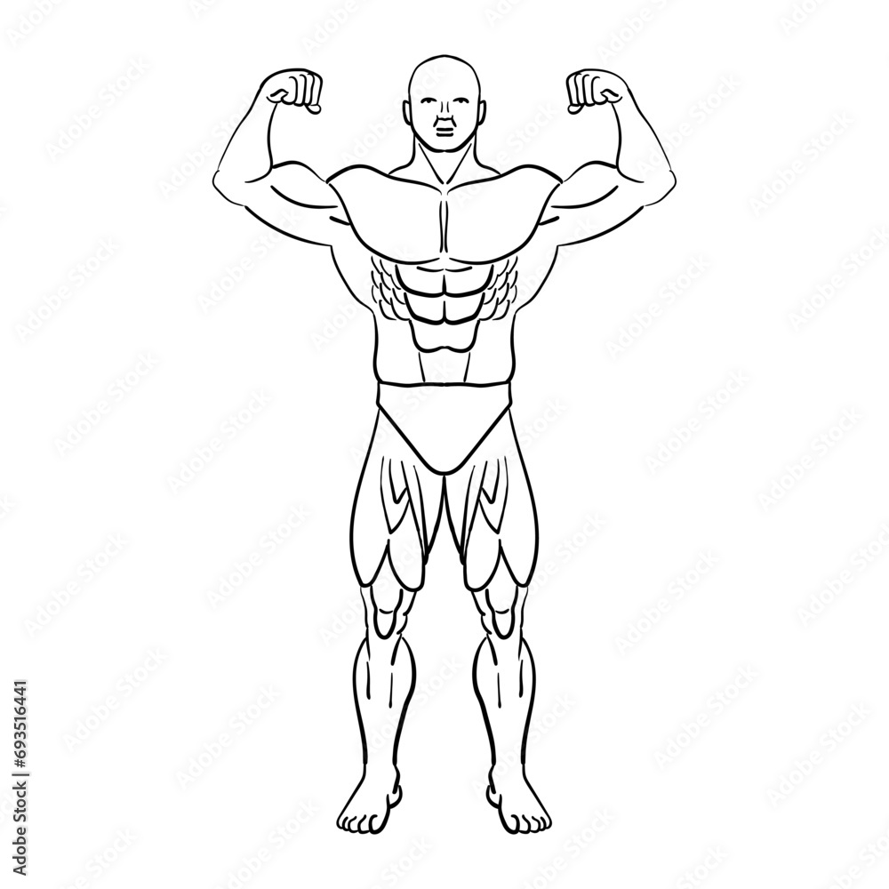 Bodybuilder graphic. Vector illustration image. Stock Vector | Adobe Stock
