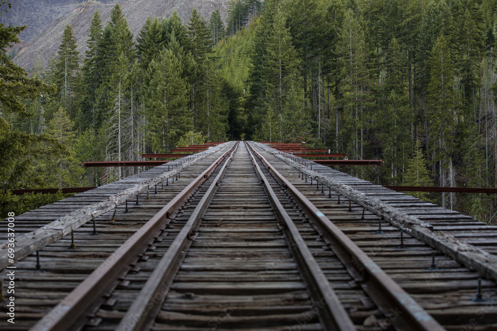 Vance Creek Bridge is an abandoned railroad logging bridge in Mason County, Washington state in ...