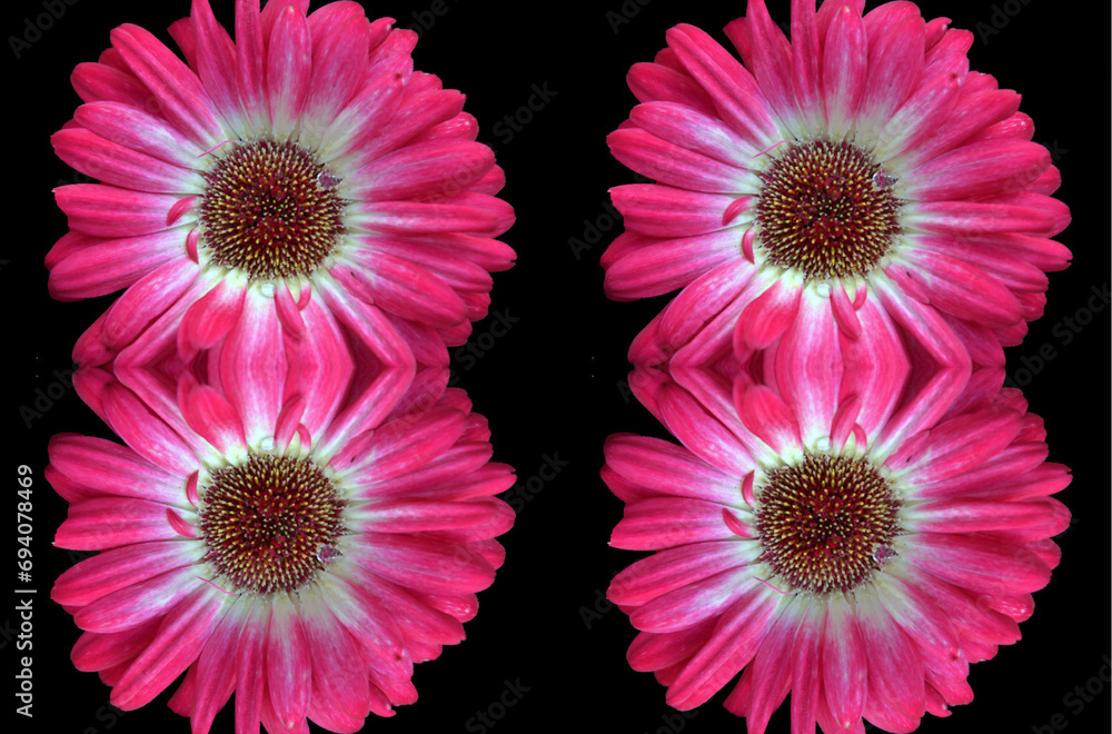 Coreopsis is a genus of flowering plants in the family Asteraceae ...