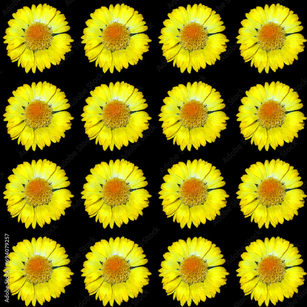 Coreopsis is a genus of flowering plants in the family Asteraceae ...