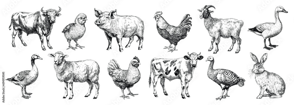 Animals meet types ink illustrations set, hand drawn illustrations of ...