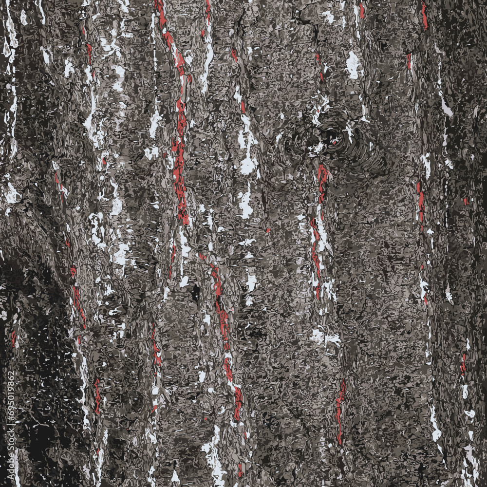 Vector illustration of Pine bark close-up. Texture of Pinus strobus or ...