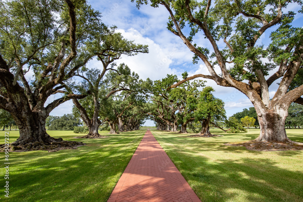 oak alley Plantation in Vacherie, Texas. The plantation serves nowadays ...