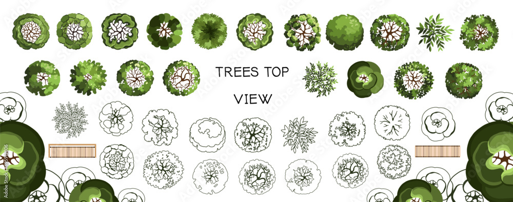 Group of trees for architectural floor plans. Entourage design. Various ...