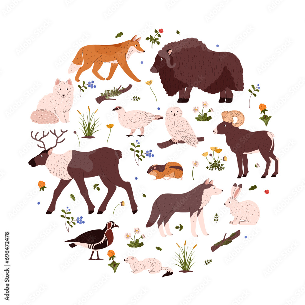 Tundra wild animal and plant nature collection, northern taiga flora ...