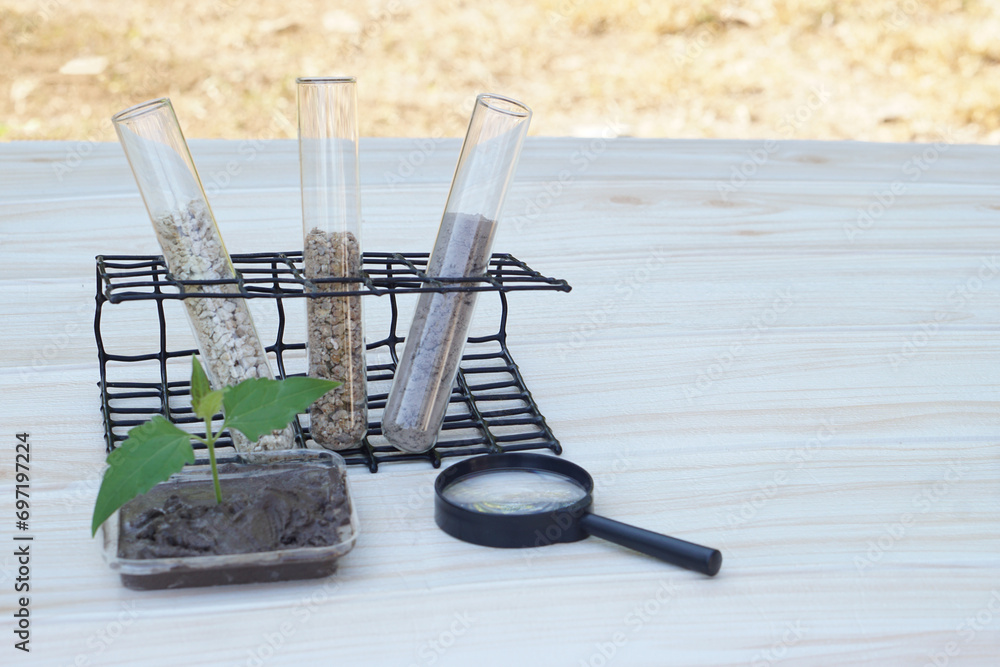 Test tubes that contain sample soil. Concept, soil quality inspection ...