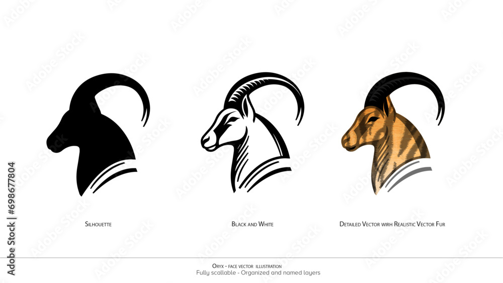Oryx Face only vector illustration. Oryx Detailed vector illustration ...