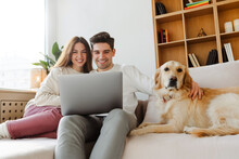 Dog Using Laptop Computer Free Stock Photo - Public Domain Pictures