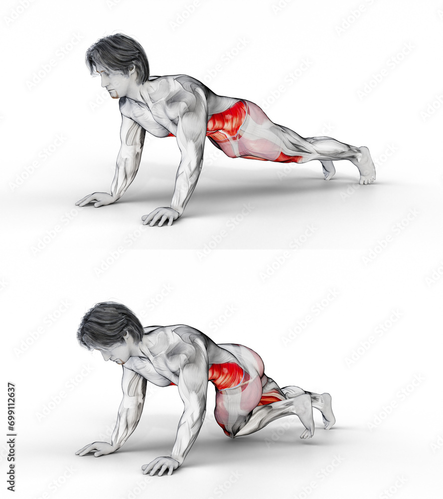 185 Mountain Climber Cross Body. 3D Anatomy of fitness and bodybuilding ...