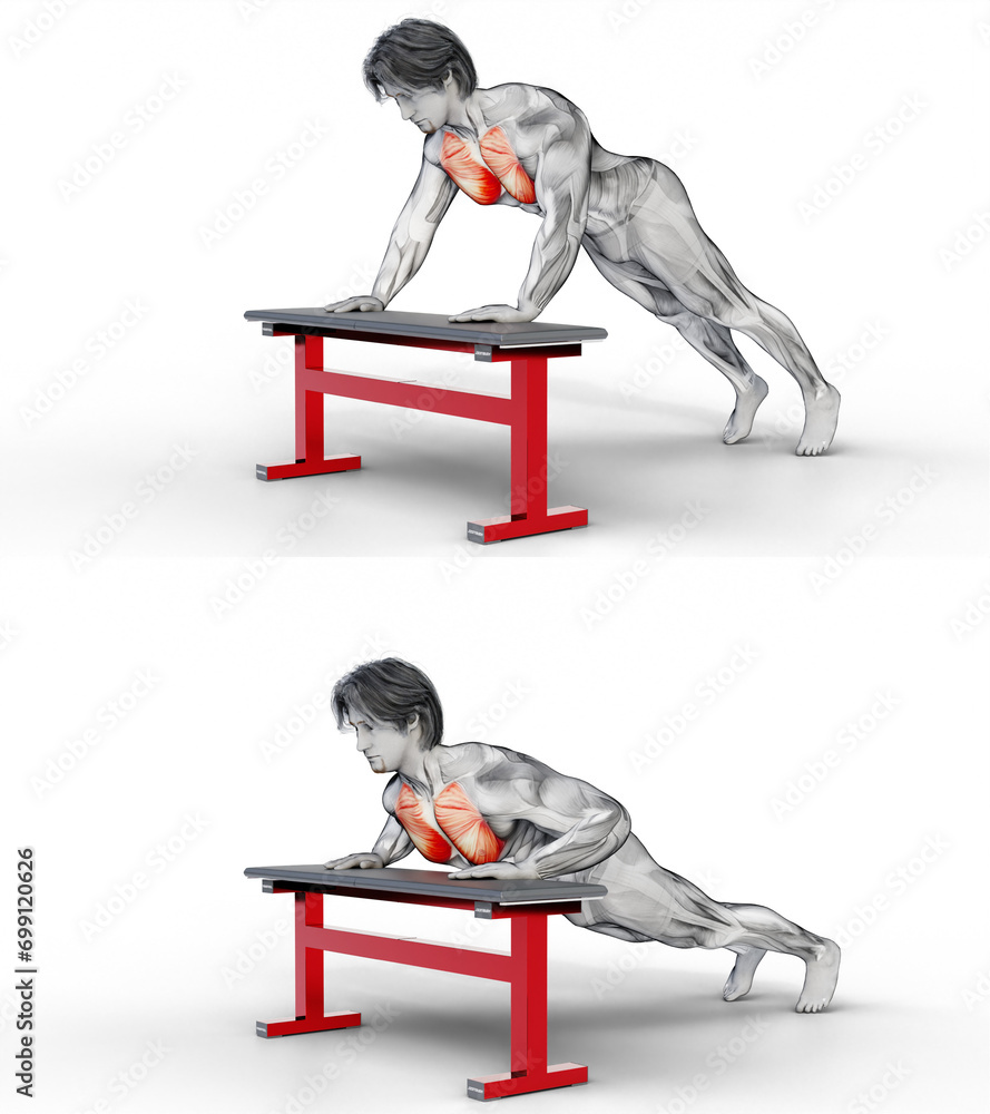 365 Chest-Bodyweight-Incline Push Up. 3D Anatomy of fitness and ...