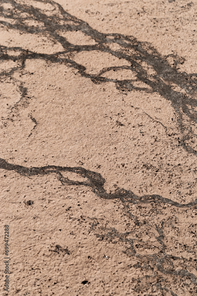 Macro photo shore salt lake, design texture pattern concept natural or ...