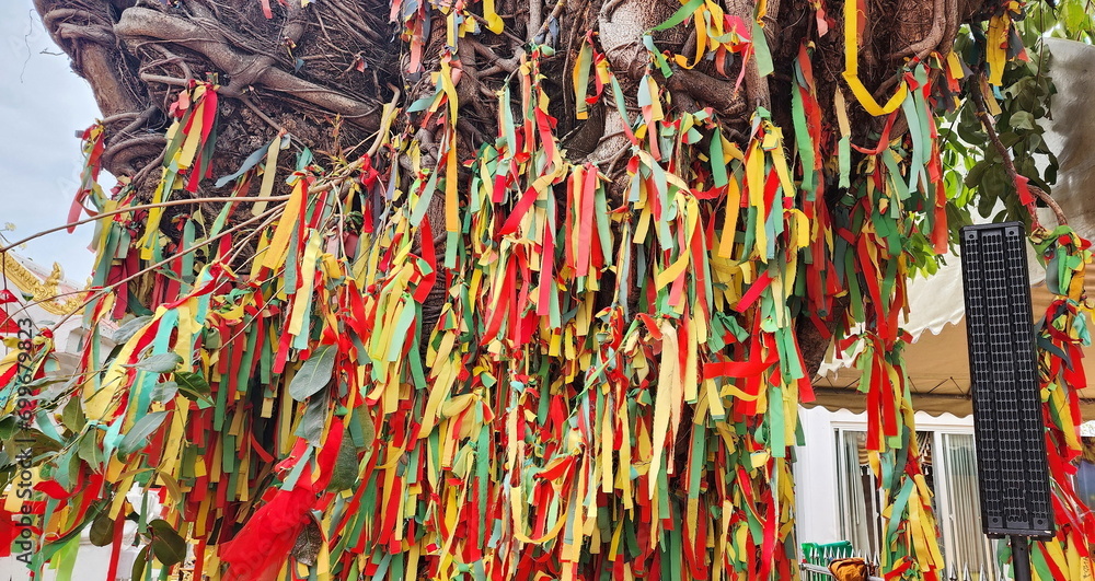 Variegated rag ribbons tied to a big ancient tree trunk. Belief of ...