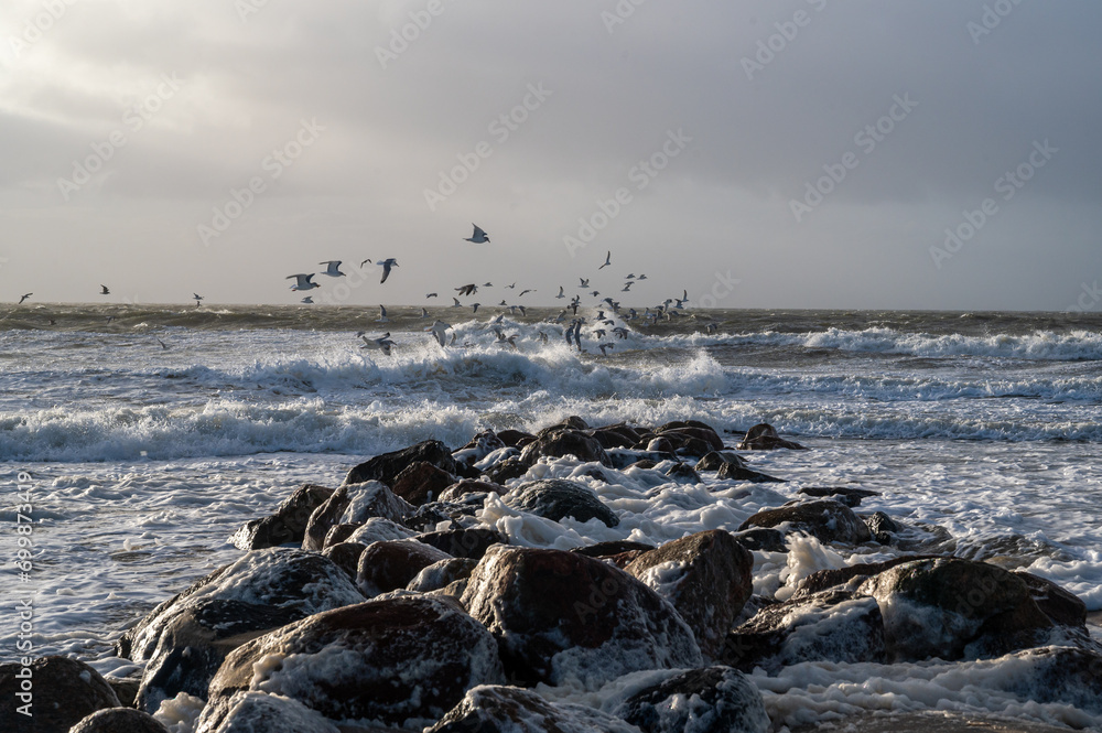 authentic scene from a furious western coast of denmark during a ...
