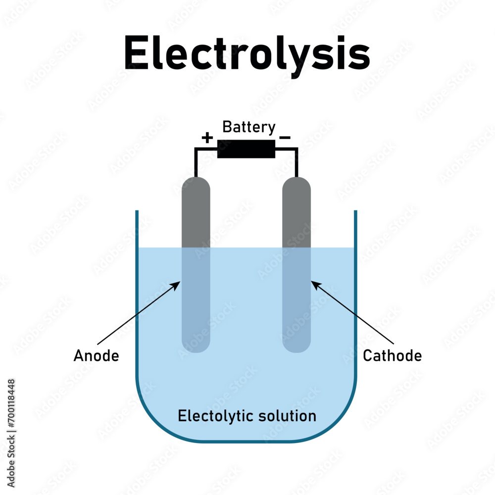 Electrolysis of water diagram for class. Anode, cathode, battery and ...