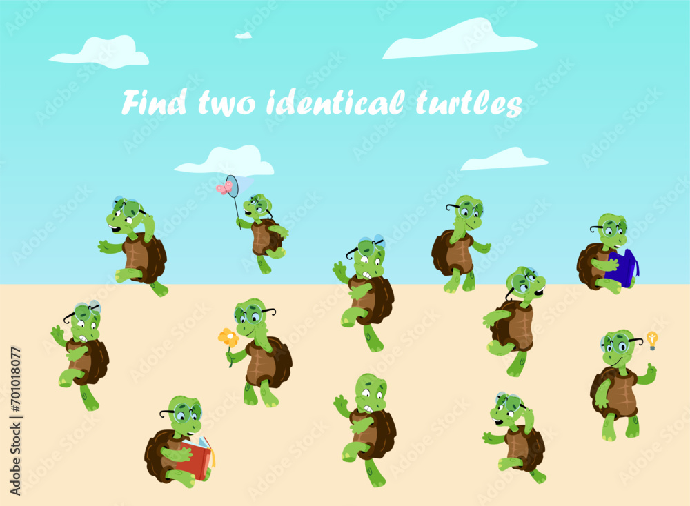 Cartoon turtle. Find identical tortoises. Preschool kids worksheet ...