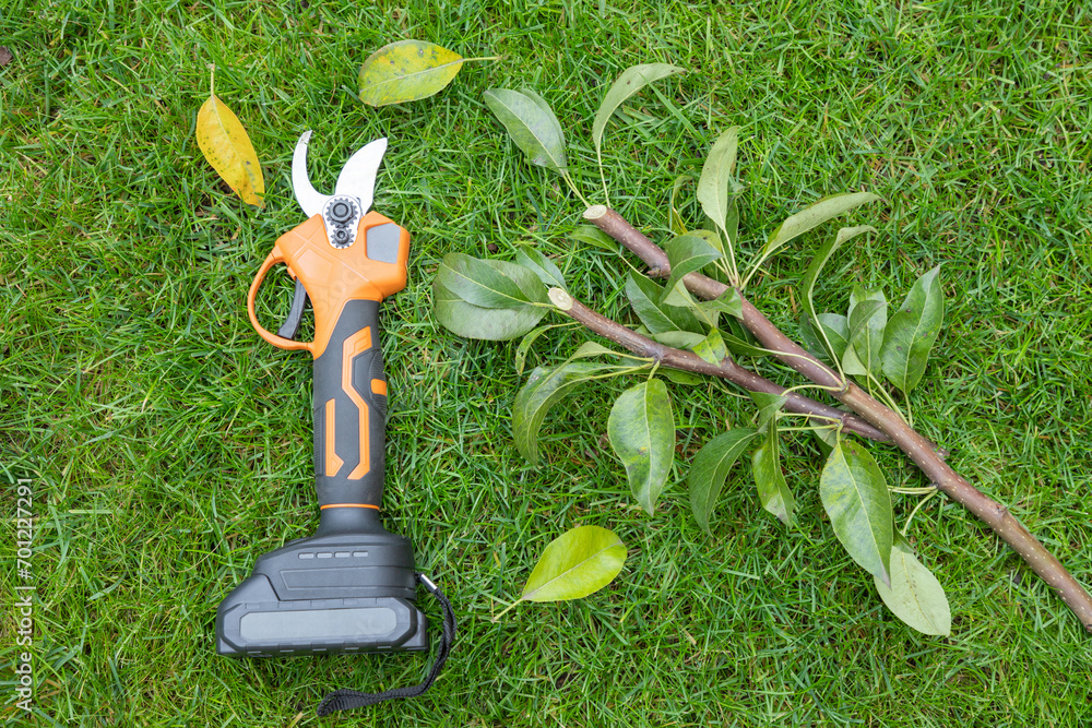 Foto de Stock Electric, battery powered manual secateurs on a lawn with ...