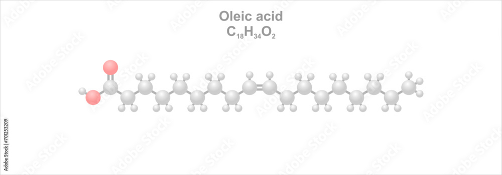 Oleic acid. Simplified scheme of the molecule. Occurs naturally in ...