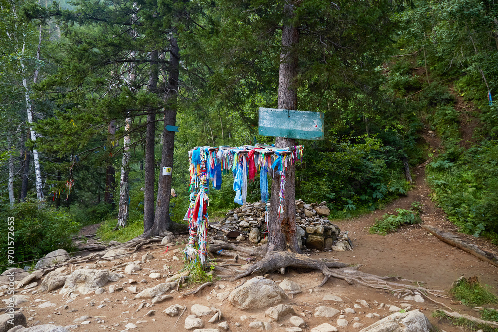 A hiking trail in the forest, a national park in the Republic of ...