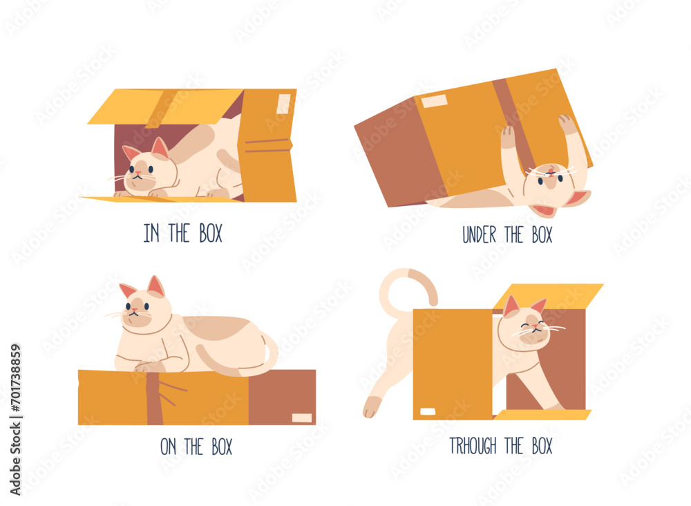 Cute Cat Character In Different Poses With Box. Prepositions Of Place ...