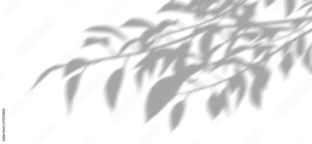 Shadow shade leafs movement relaxing shapes isolate on transparent ...