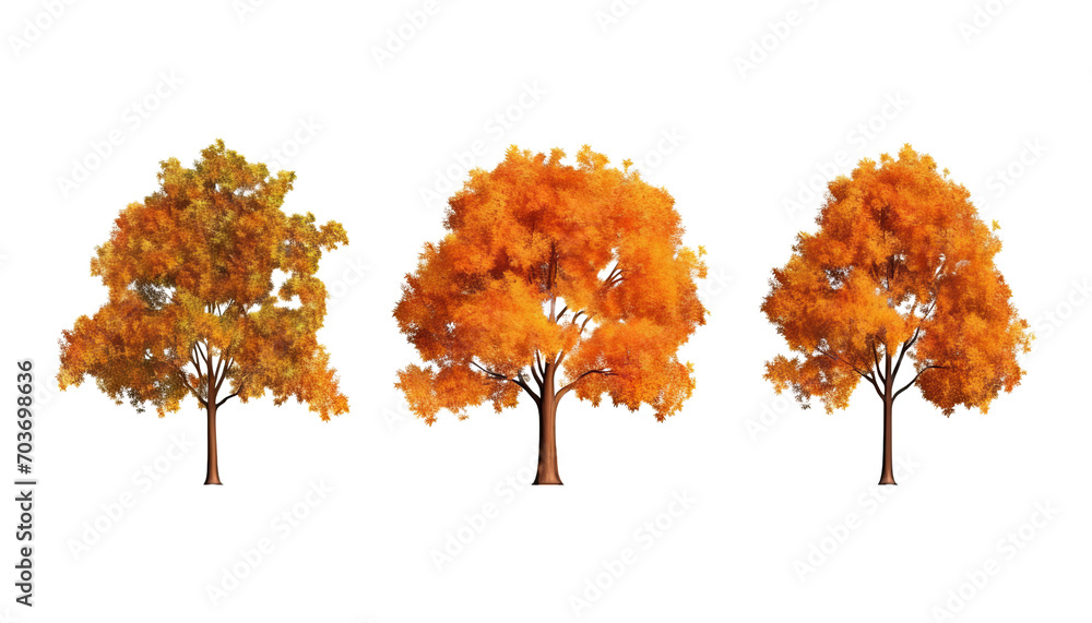 autumn trees collection isolated on transparent background cutout Stock ...
