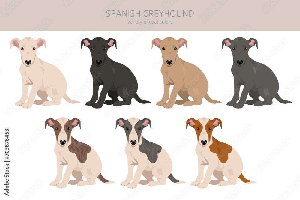 Spanish Greyhound puppies clipart. All coat colors set. All dog breeds ...
