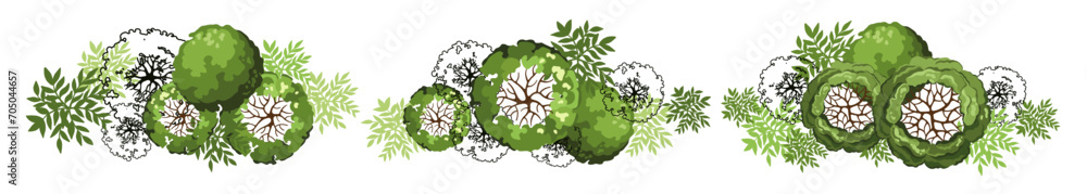 Group of trees for architectural floor plans. Entourage design. Various ...