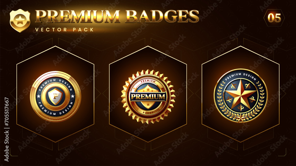Elevate your certificates, awards, and packages with a premium pack of ...