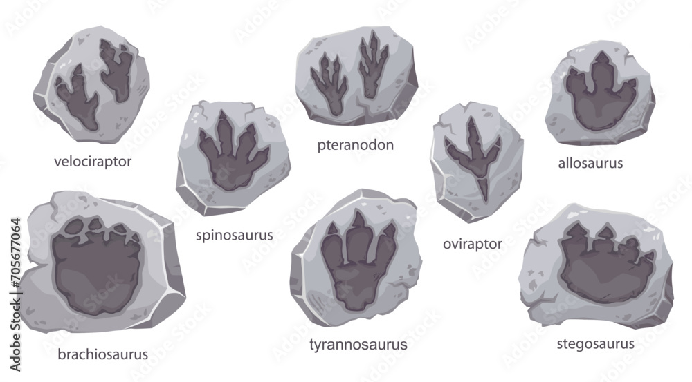 Image vectorielle Stock Dinosaur footprints fossil, archeology stones ...