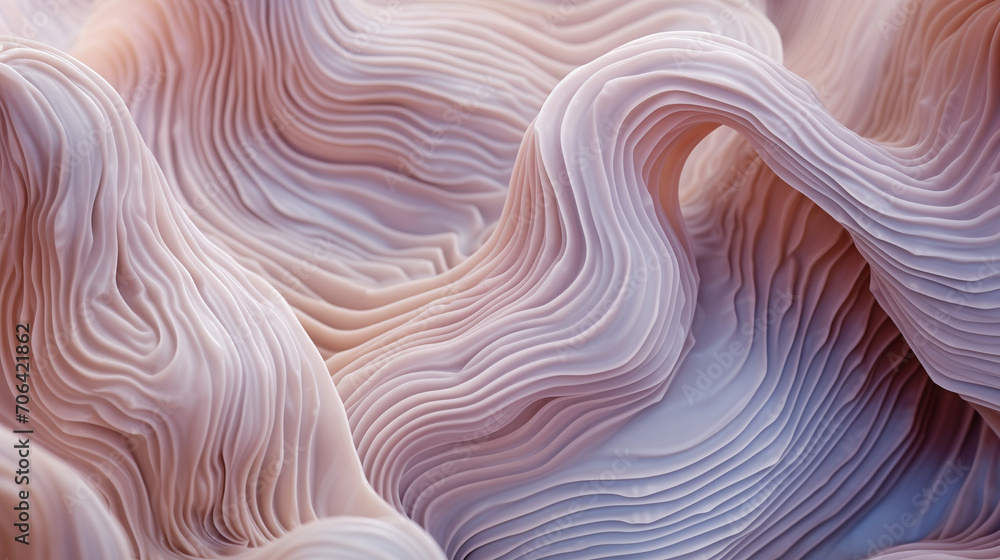 Stock-Foto „shells on a beach in a spiral pattern, Giant clam texture ...