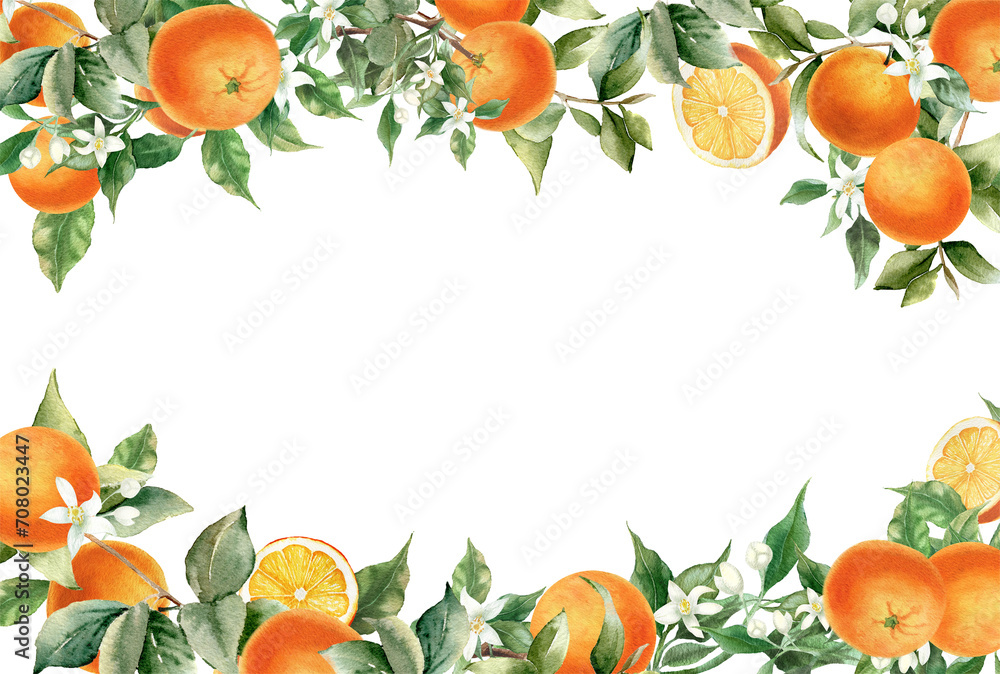 Orange fruit border frame. Watercolor illustration isolated on ...