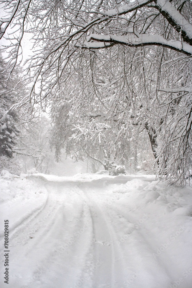 Photo Stock Deep snow covers trees and a residential road during a ...