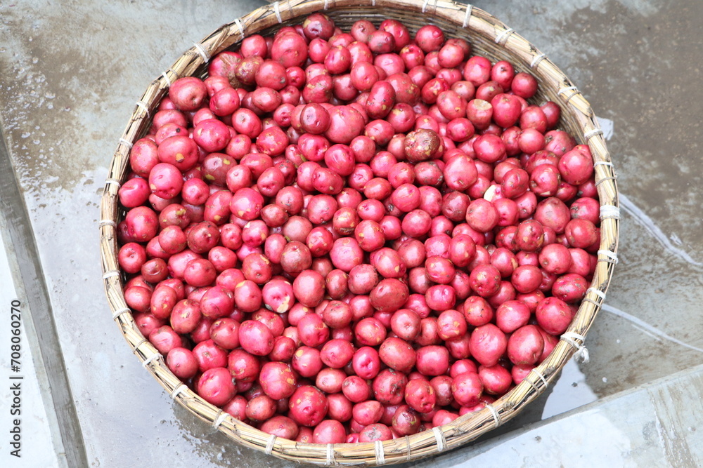Farm fresh Pink Color Potato HD Images for Wallpaper and Research ...