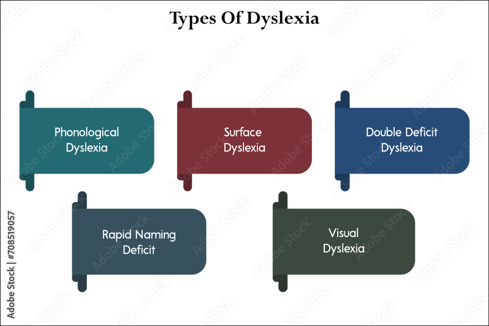 เวกเตอร์ Stock Five types of dyslexia - Phonological, Rapid naming ...