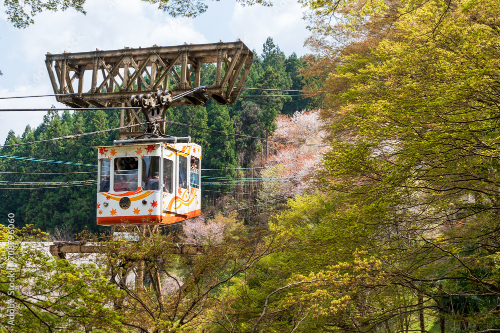 Nara, Japan - April 3, 2023 : Yoshino Ropeway. Cherry blossoms in full ...