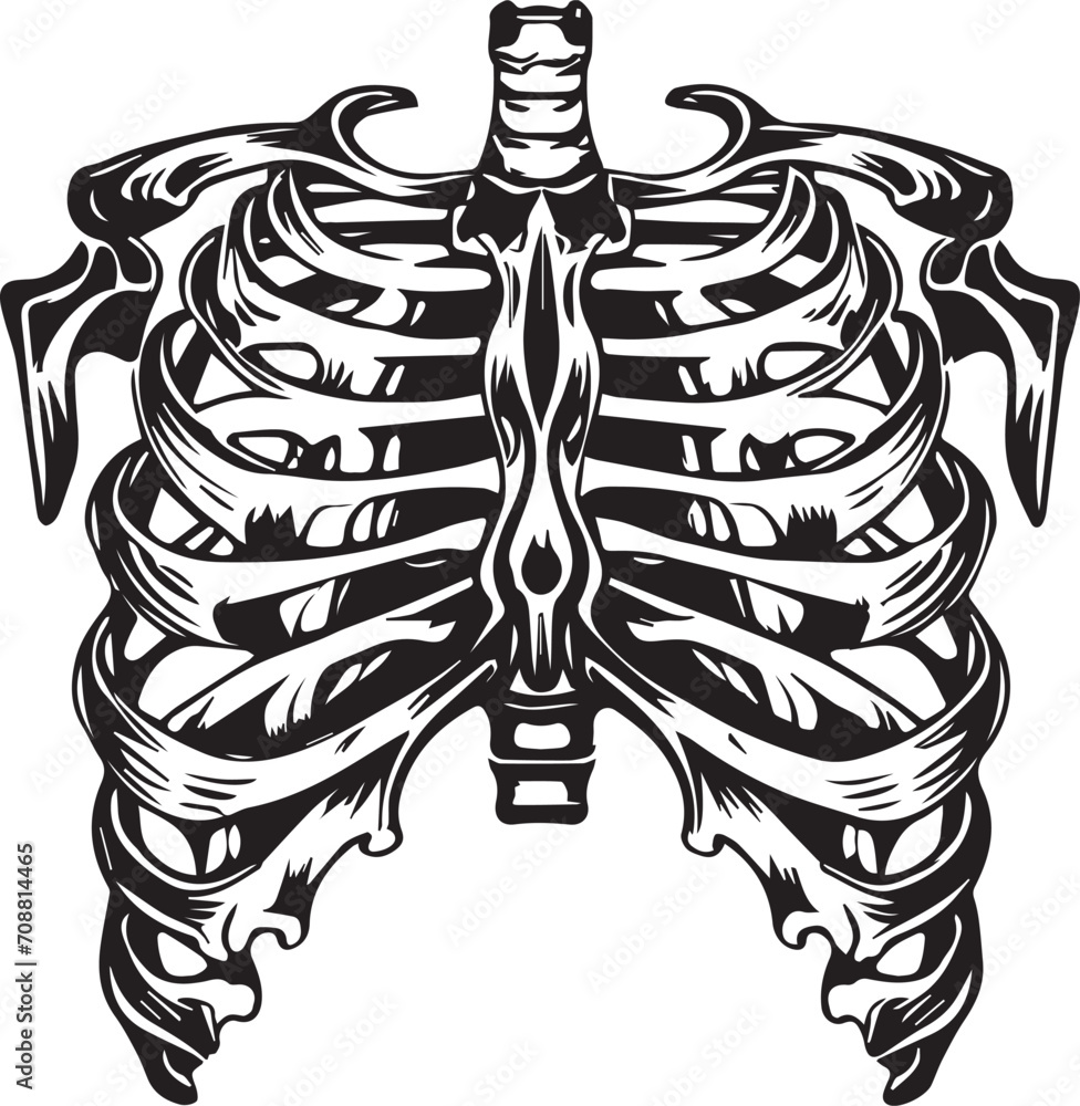 plano vectorial, tórax del esqueleto,stencil Stock Vector | Adobe Stock