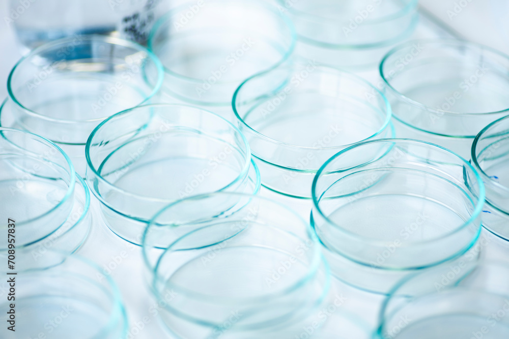 geneticist working with microplate for cells analysis in the genetic ...