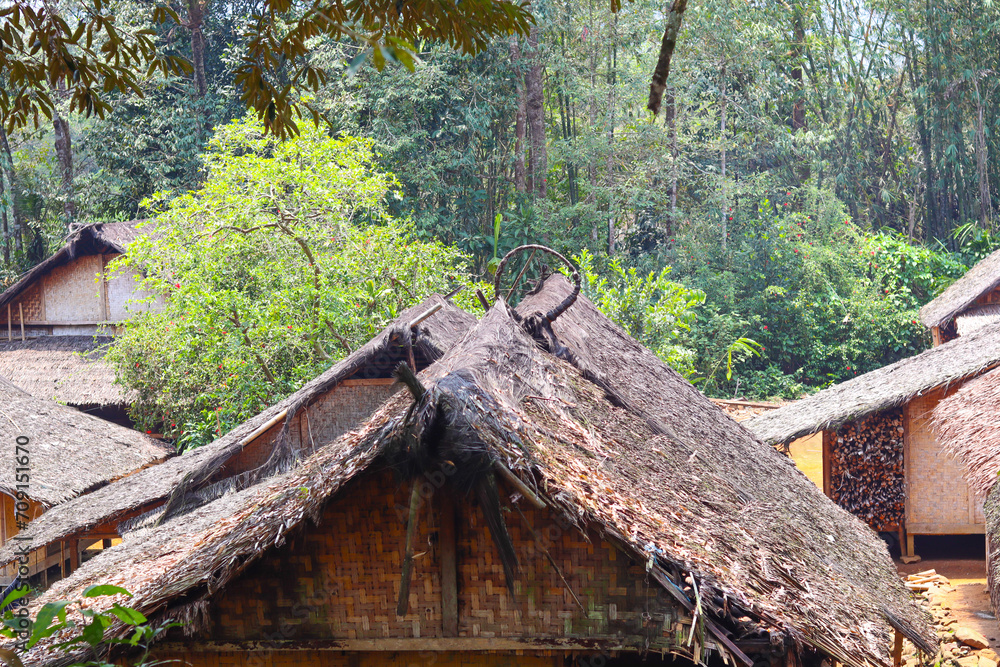 the concept of an environmentally friendly Baduy house roof, made from ...