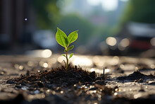Hard Ground Surface Free Stock Photo - Public Domain Pictures