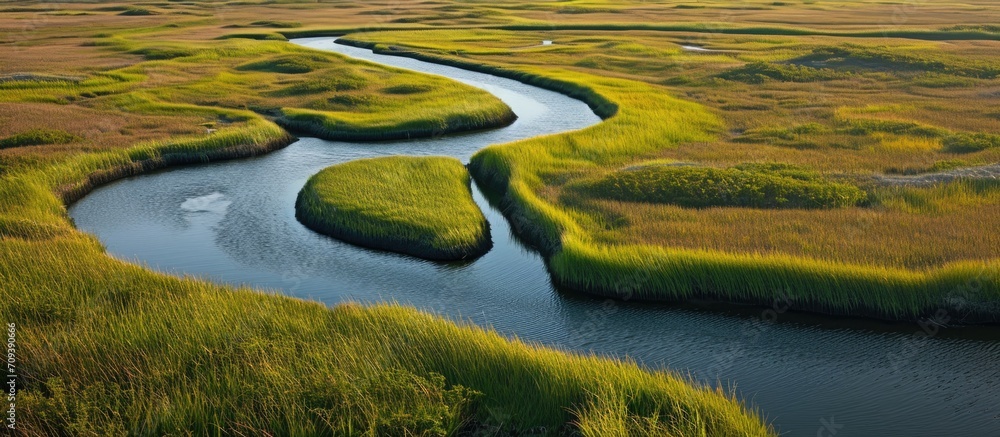 Meandering channels flow through a salt marsh in Pleasant Bay, Cape Cod ...