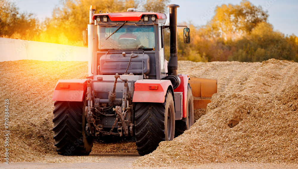 Tractor with heavy roller pressing silage on cattle farm, Fermented ...