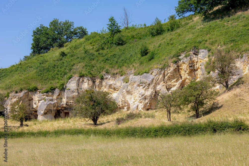 Summer landscape, Rock cliff and hill with grass and trees,The ...