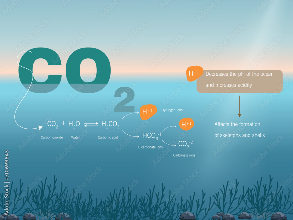 Ocean acidification process.chemical equation and consequences Stock ...