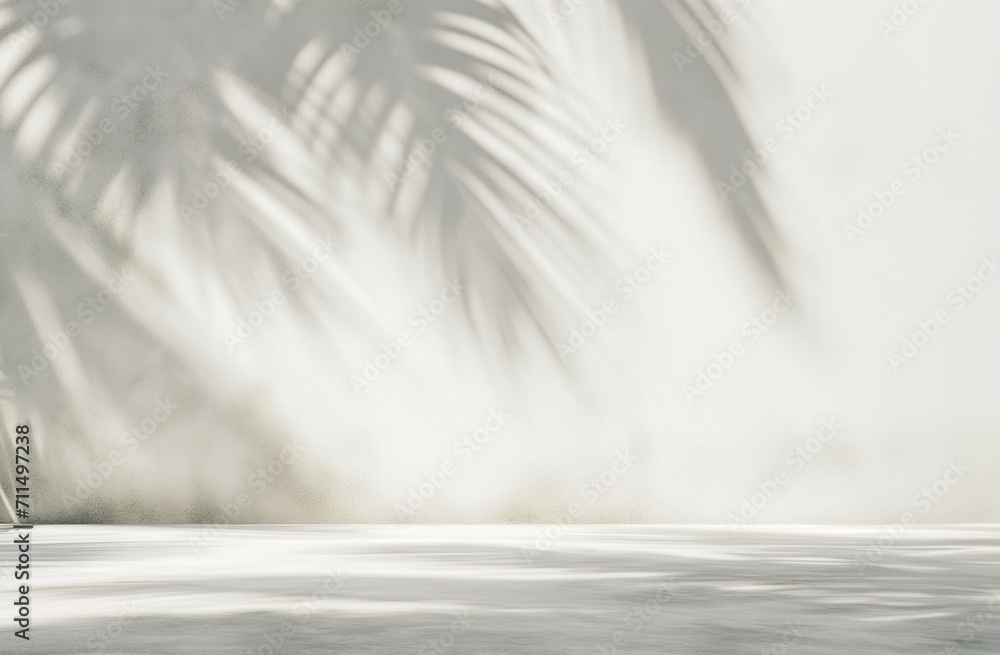 Blank empty white wall and floor studio with natural leaves shadow ...