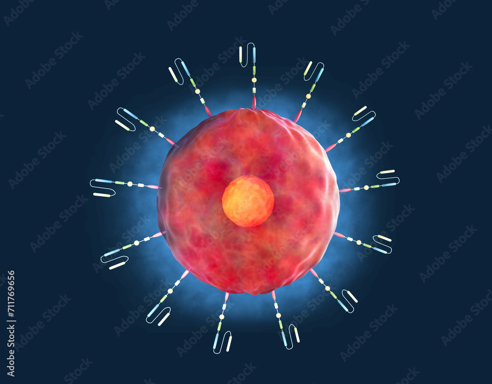 The chimeric antigen receptor T (CAR-T) cell therapy is a new treatment ...