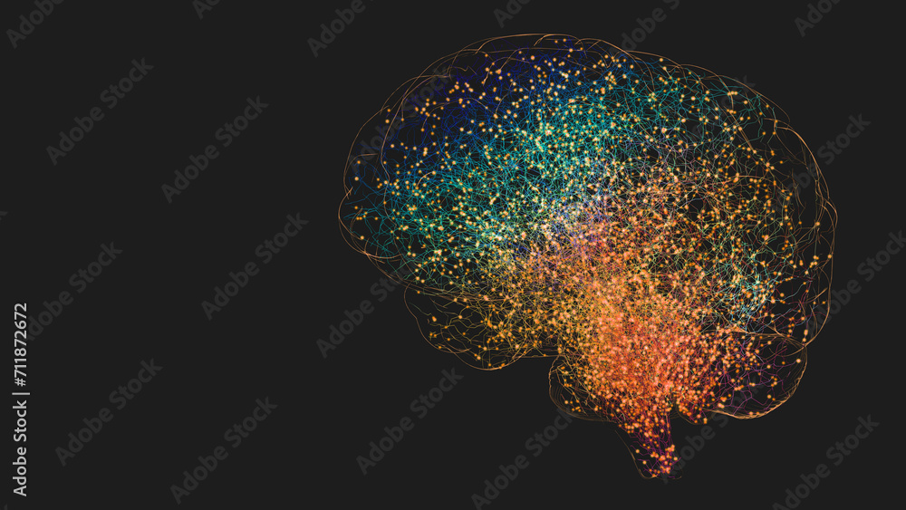 Signal and impulses in the neuronal network of a color-divided human ...
