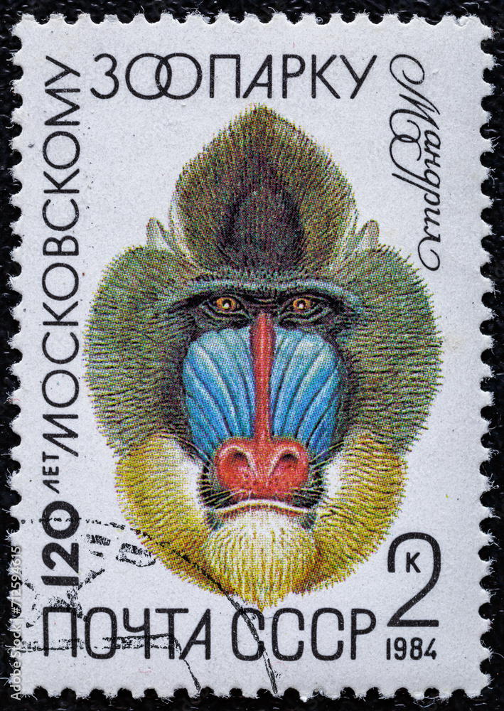 Soviet Union, circa 1984 : USSR post stamp.Series 120 years of the ...