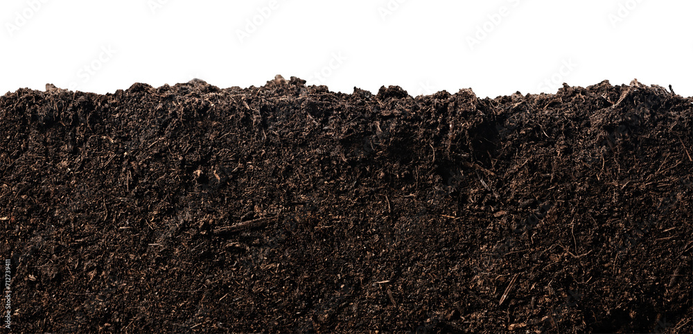 Soil or dirt section isolated on white background Stock Photo | Adobe Stock
