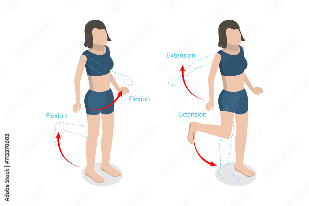 3D Isometric Flat Conceptual Illustration of Flexion And Extension ...