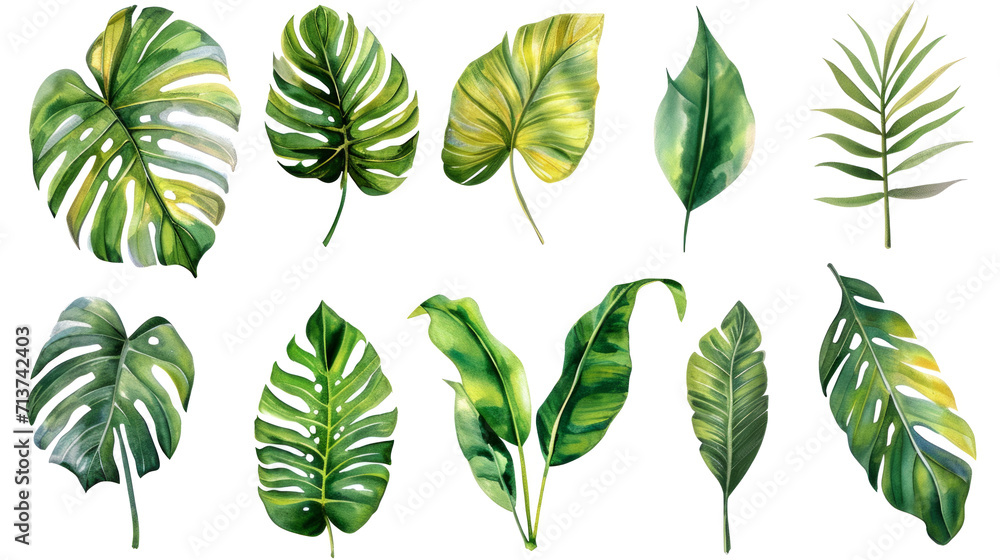 Set Collection Watercolor tropical leaves Modern green tropical leaves ...